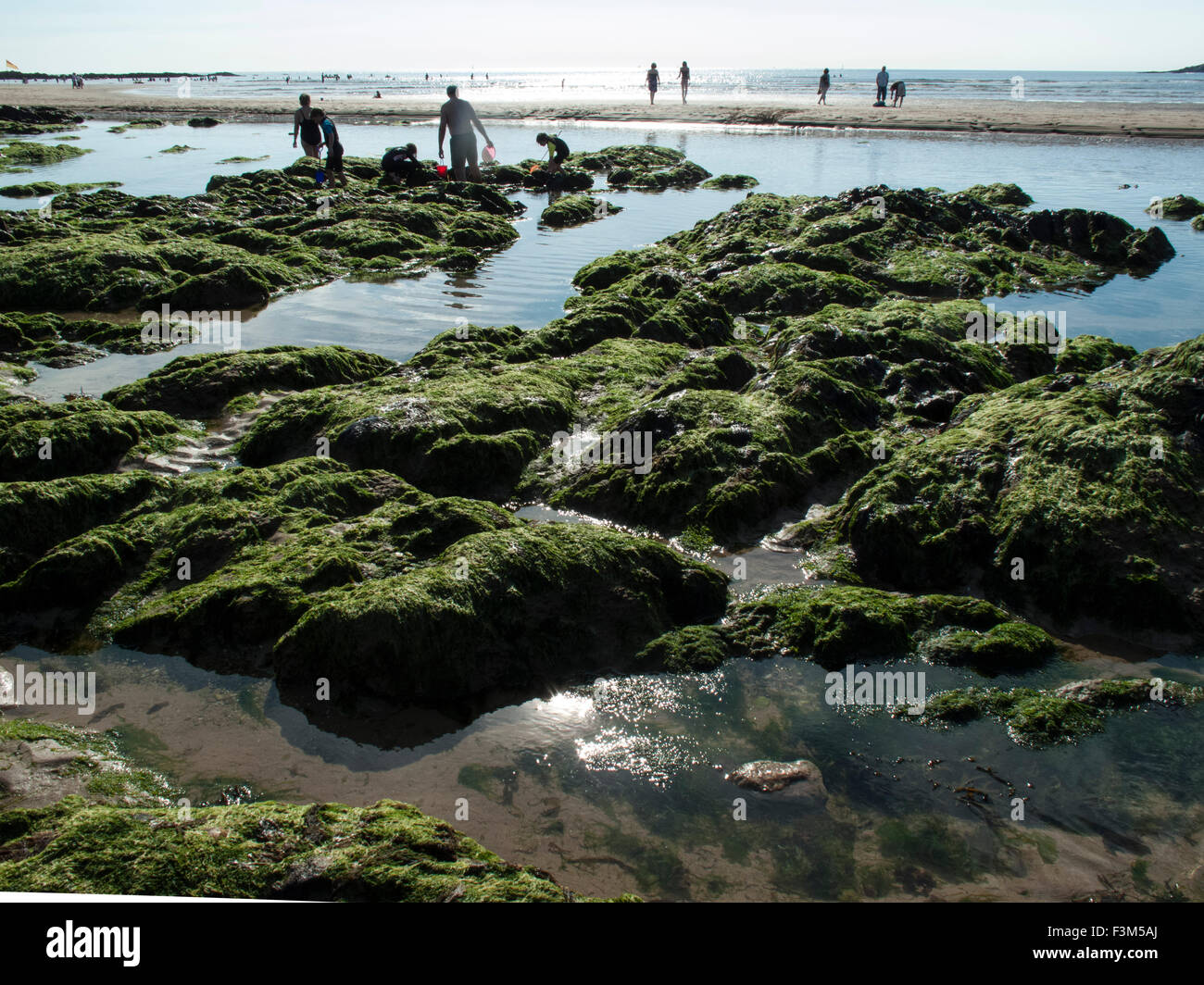 Devon seaside hi-res stock photography and images - Alamy