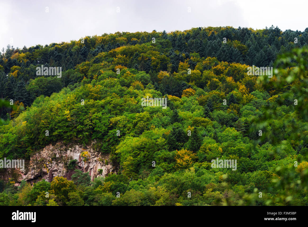 Beautiful colorized autumn hills in Andlau, Alsace, France Stock Photo ...