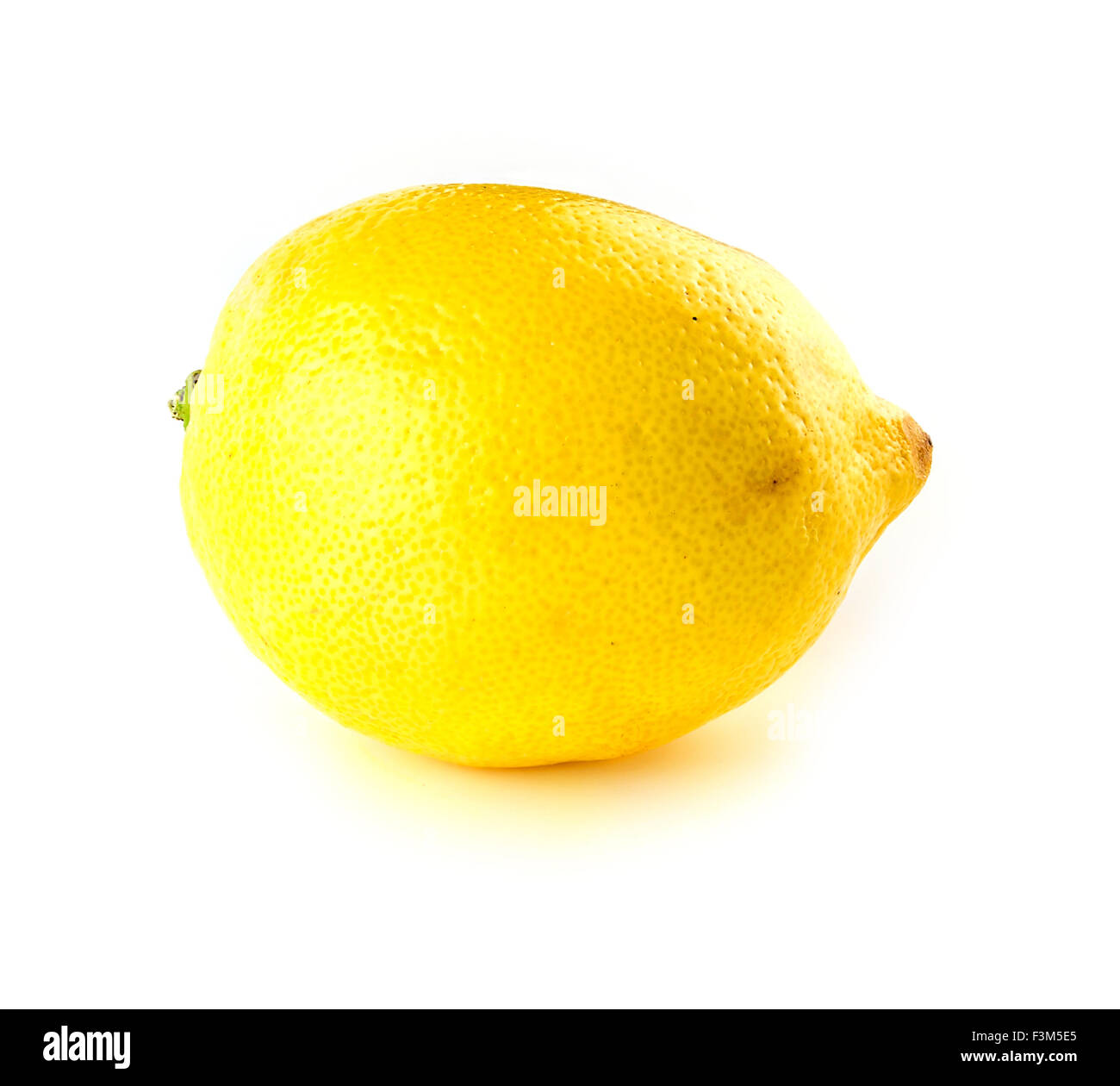 Studio close up isolated Cut Out Stock Images & Pictures - Alamy