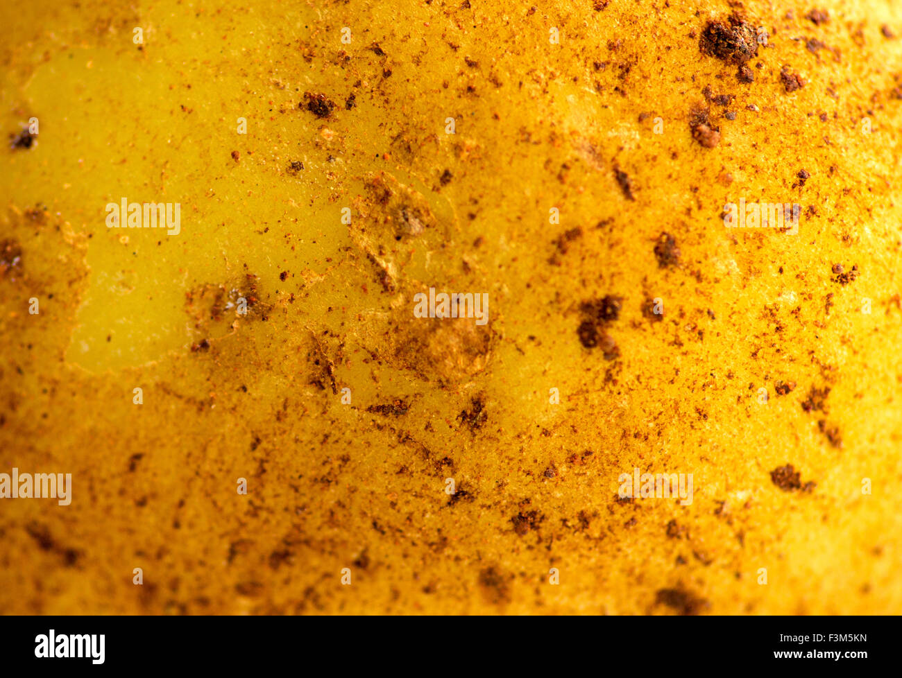 Close up of raw, uncooked potato Stock Photo - Alamy