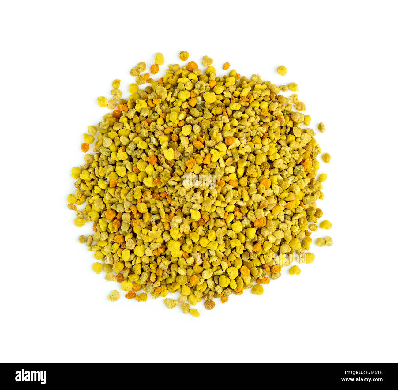 Pollen and bees hi-res stock photography and images - Alamy