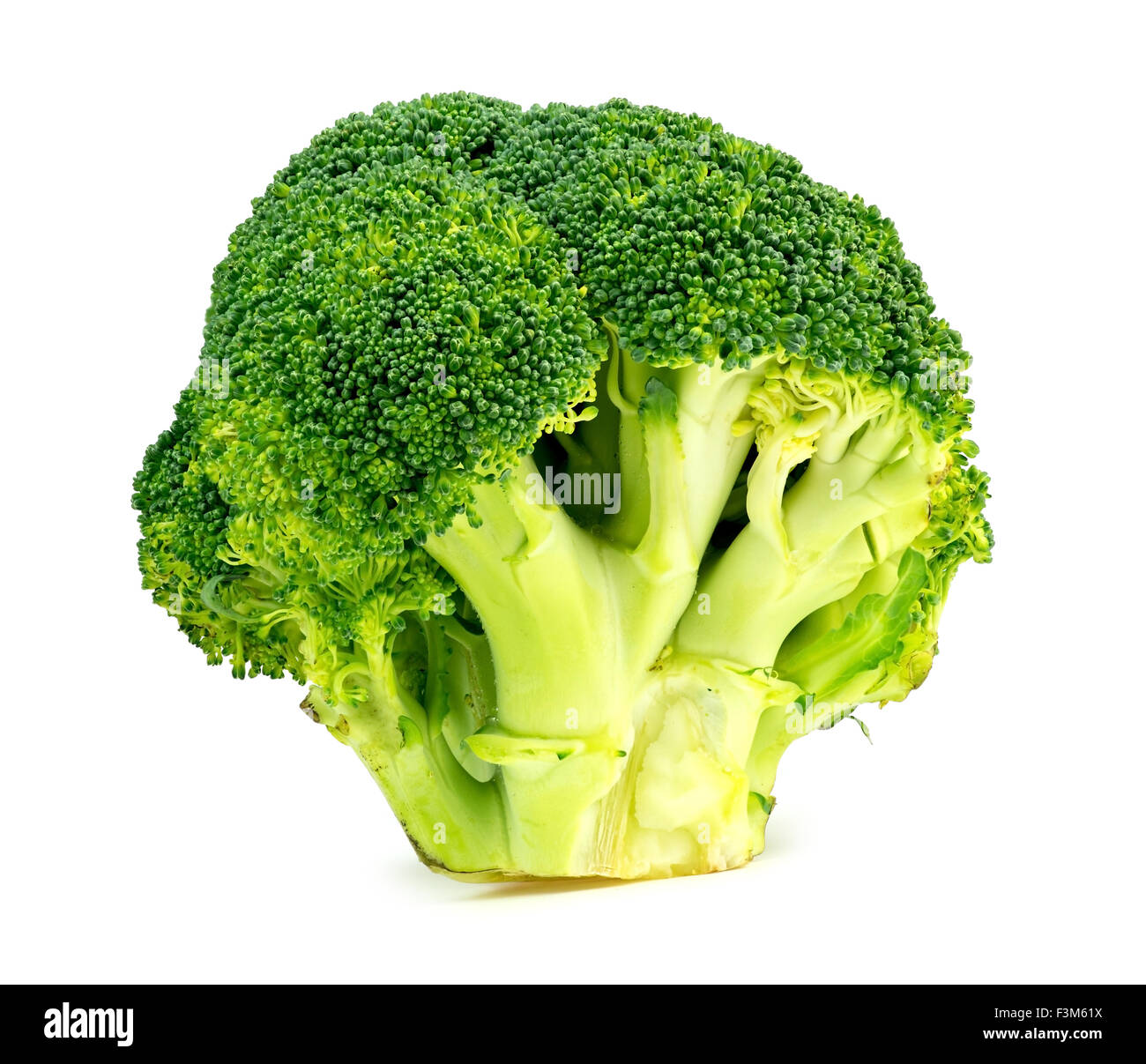 Isolated studio shot of fresh Australian broccoli floret Stock Photo ...