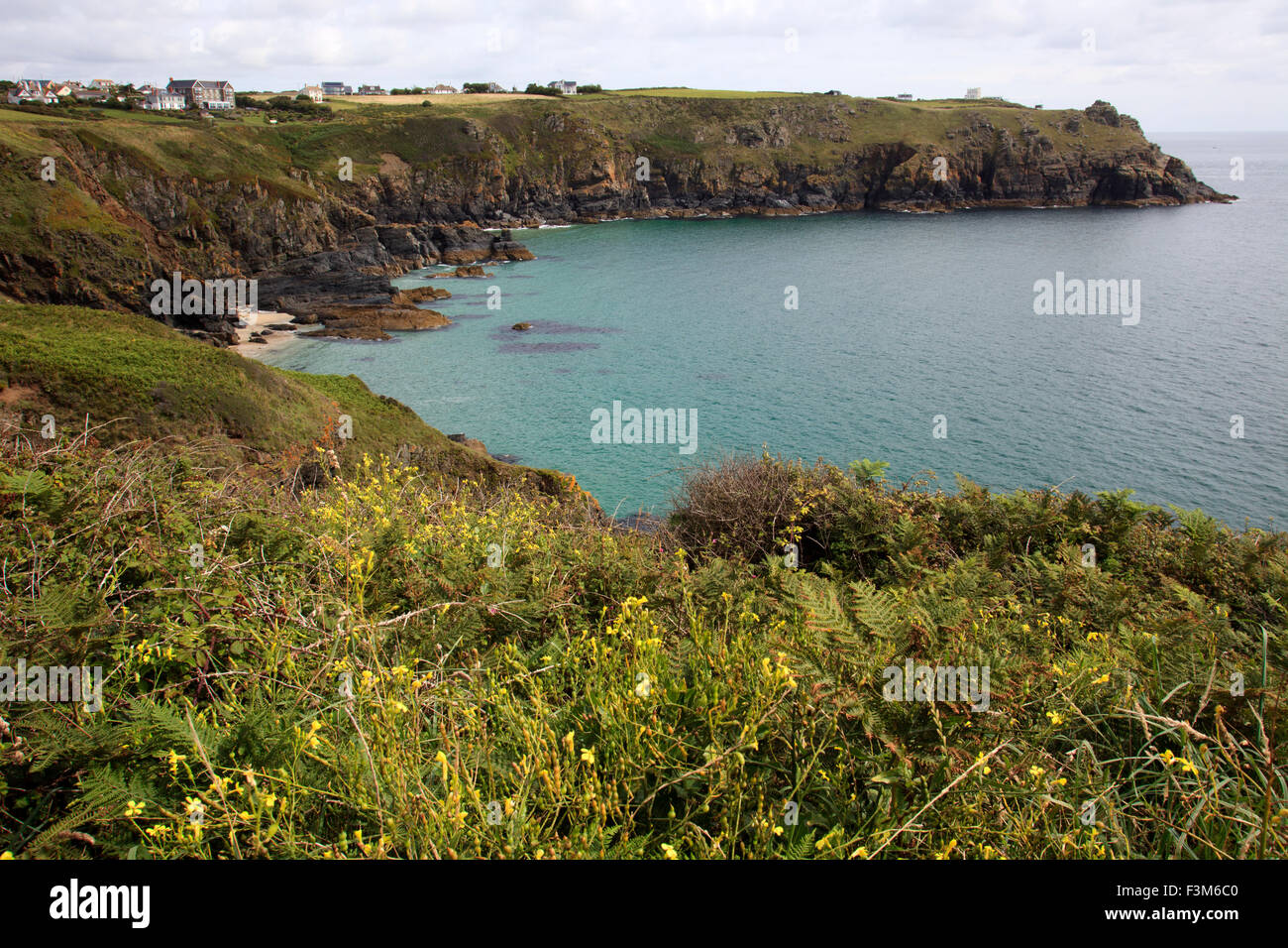 Lizard Peninsula, Cornwall, England, United Kingdom Stock Photo - Alamy