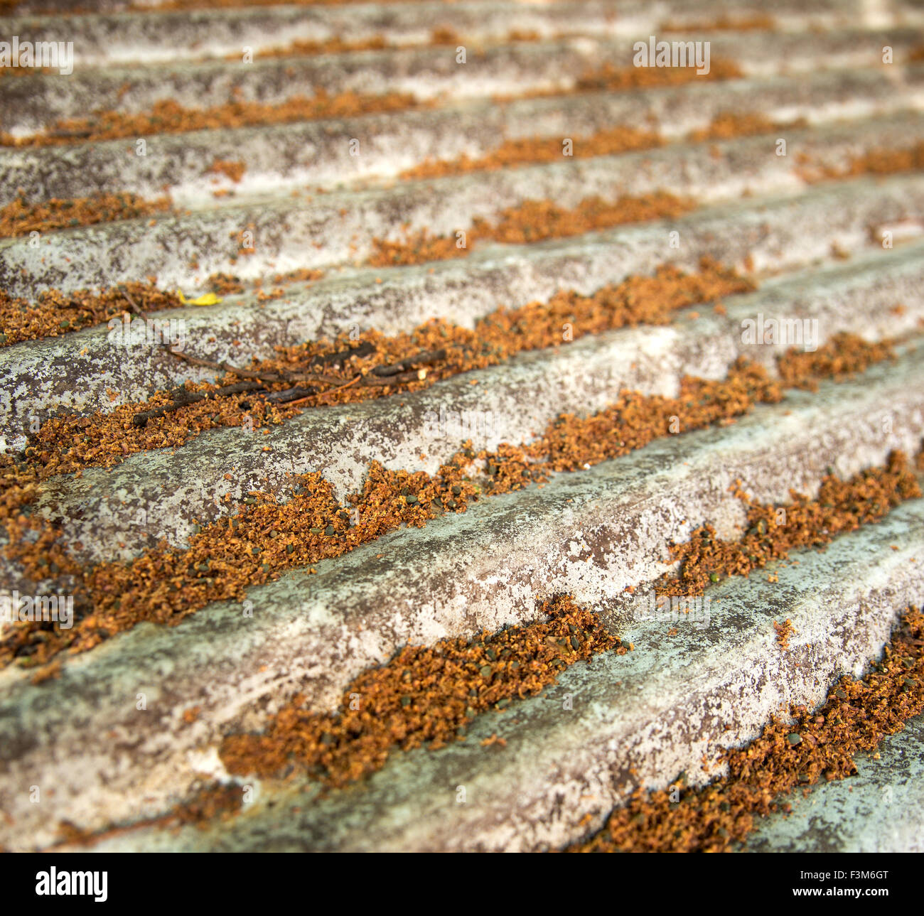 Steel roof structure hi-res stock photography and images - Alamy