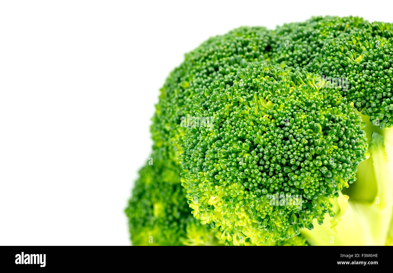 Closeup of organic green broccoli floret with white copyspace Stock ...