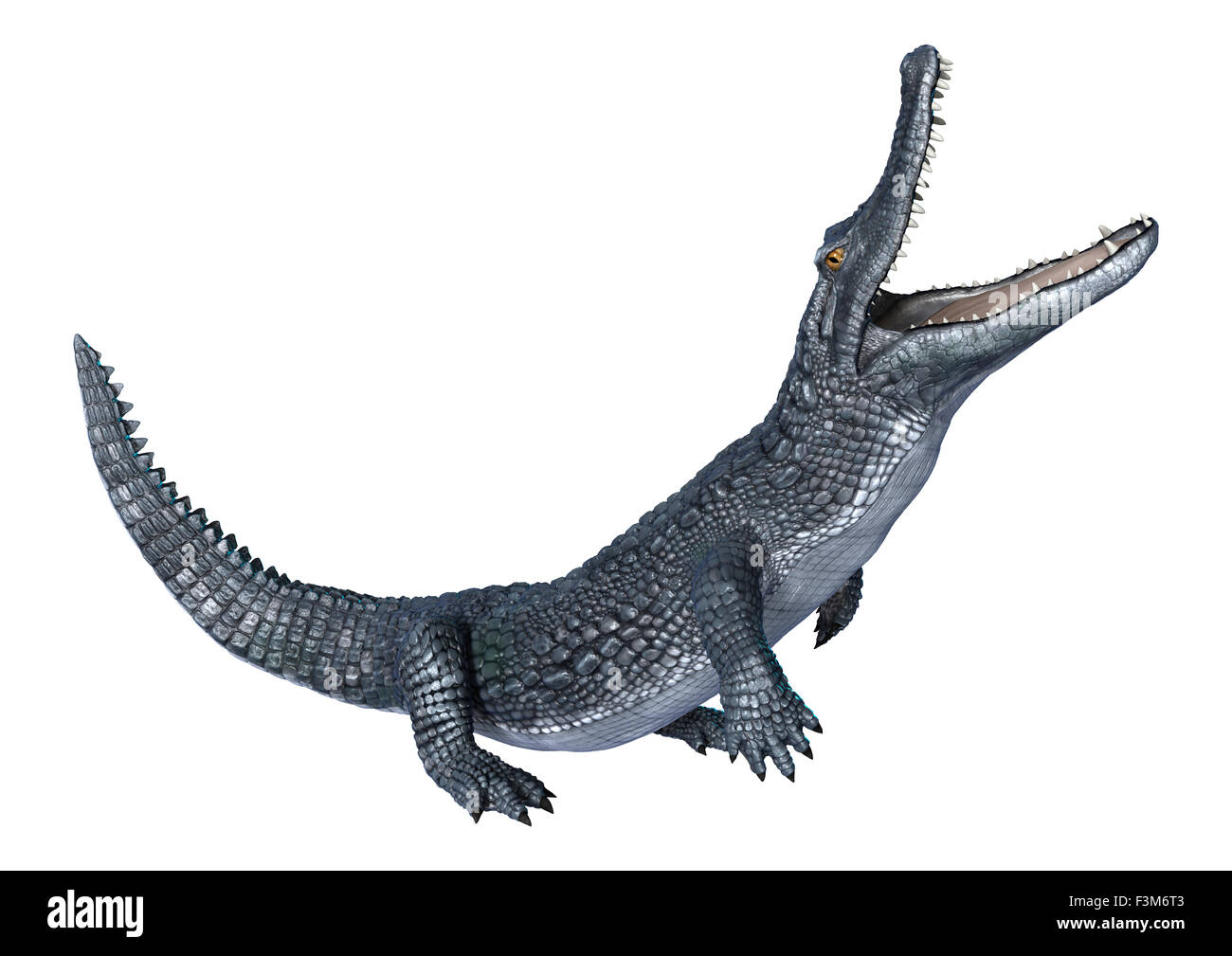 Amazon cayman Cut Out Stock Images & Pictures - Alamy