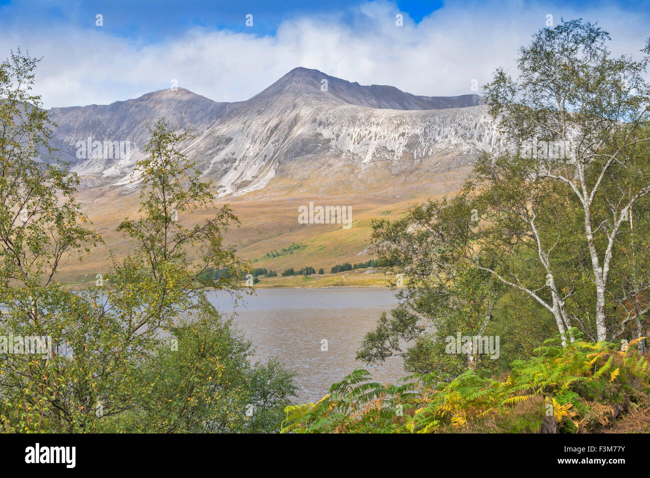 BEINN EIGHE IN AUTUMN FROM ACROSS LOCH CLAIR GLEN TORRIDON HIGHLANDS ...