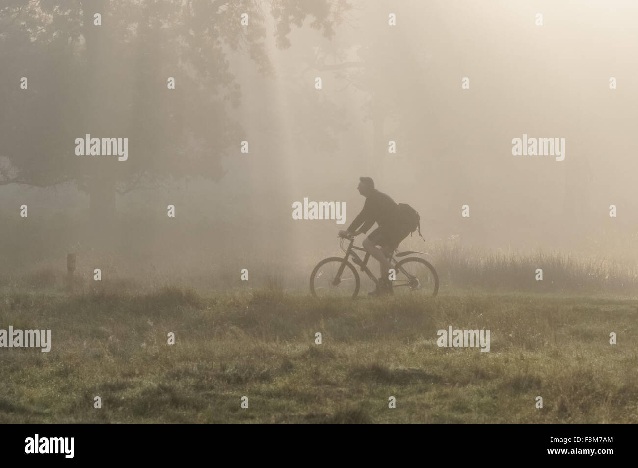 Misty morning in Richmond Park, London England United Kingdom UK Stock ...