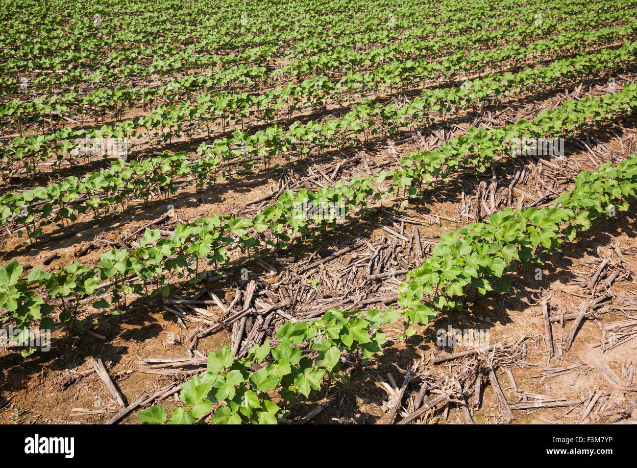 Furrow maker hi-res stock photography and images - Alamy