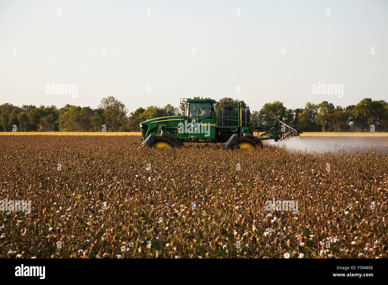 Spraying cotton hi-res stock photography and images - Alamy