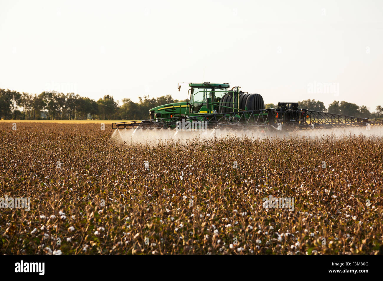 Spraying cotton hi-res stock photography and images - Alamy