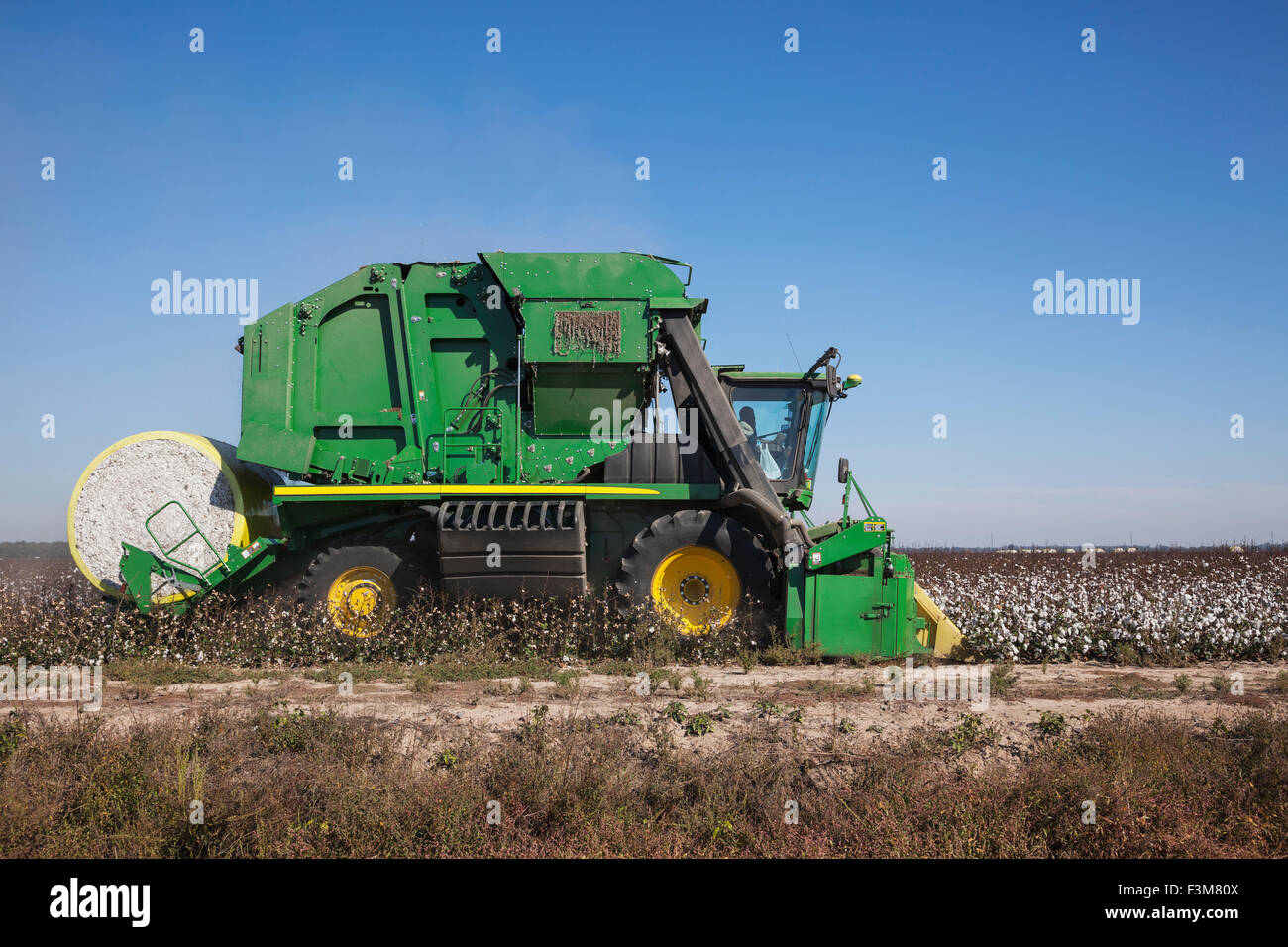Cotton picker hi-res stock photography and images - Alamy