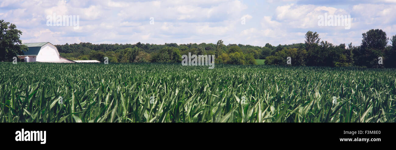 Xenia ohio hi-res stock photography and images - Alamy