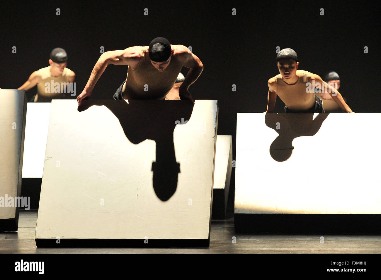 Nederlands dans theater cacti hi-res stock photography and images - Alamy