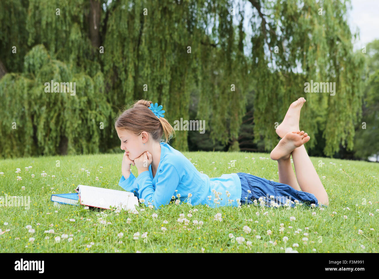 Toronto park reading hi-res stock photography and images - Alamy