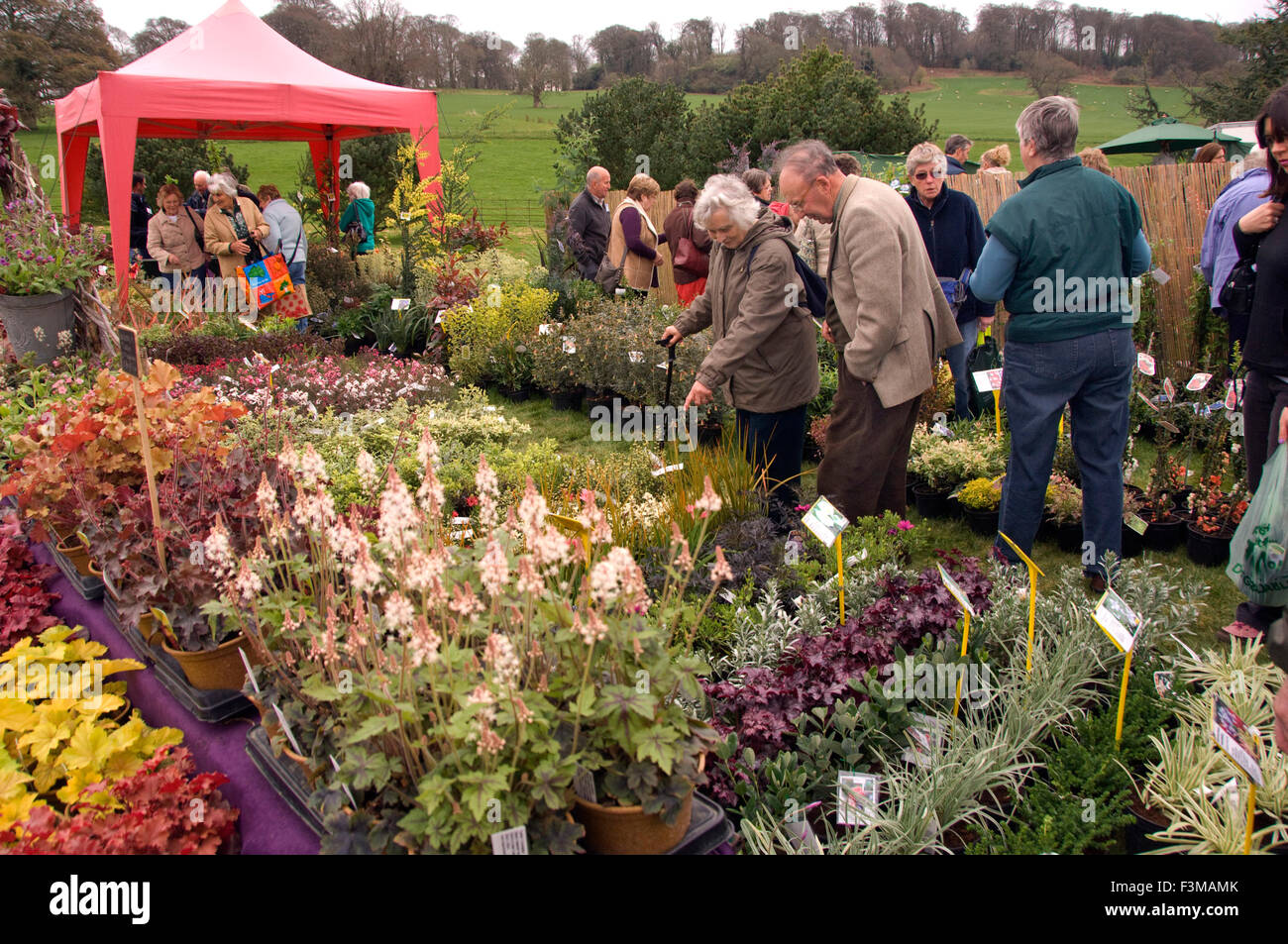 Cornwall Garden Society Spring Garden Show at Boconnoc,showing ...