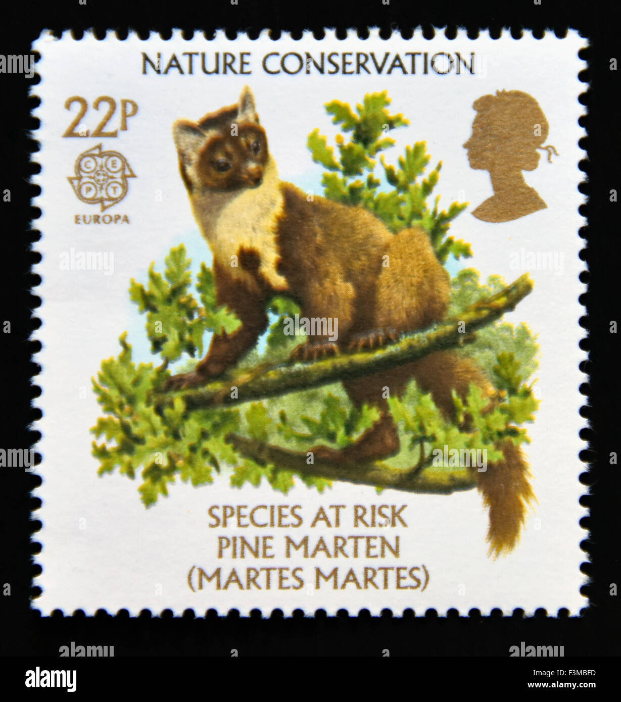 Postage stamp. Great Britain. Queen Elizabeth II. 1986. Europa Nature ...