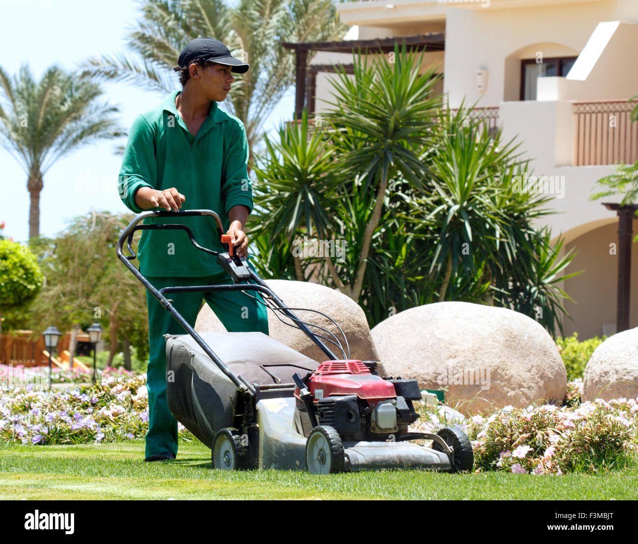 Male gardener cutting grass with lawn mower Stock Photo - Alamy