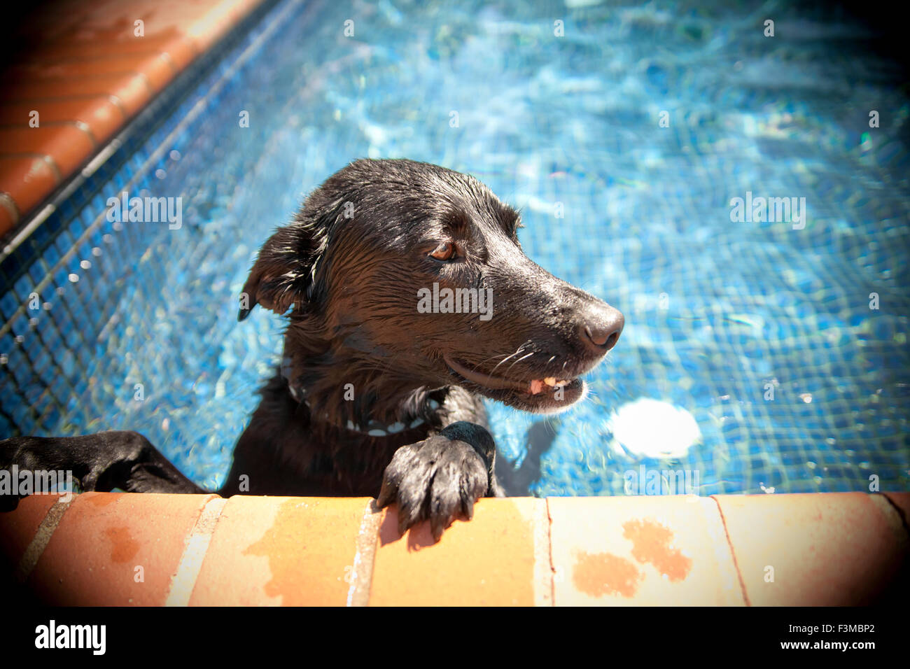Black pool of water hi-res stock photography and images - Alamy