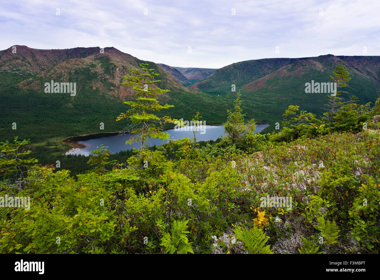 Albert mount hi-res stock photography and images - Alamy