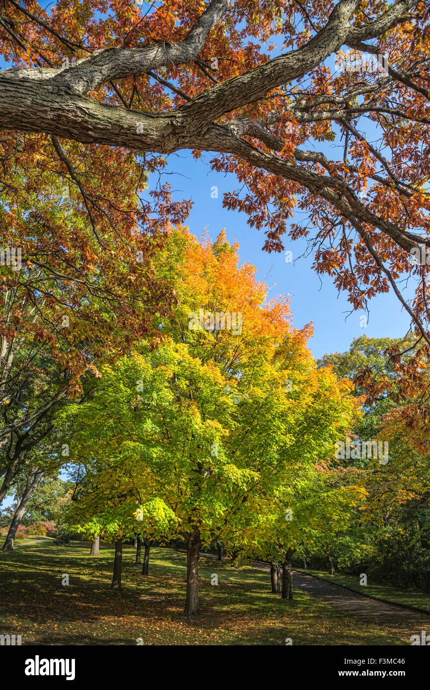 High park toronto autumn hi-res stock photography and images - Alamy