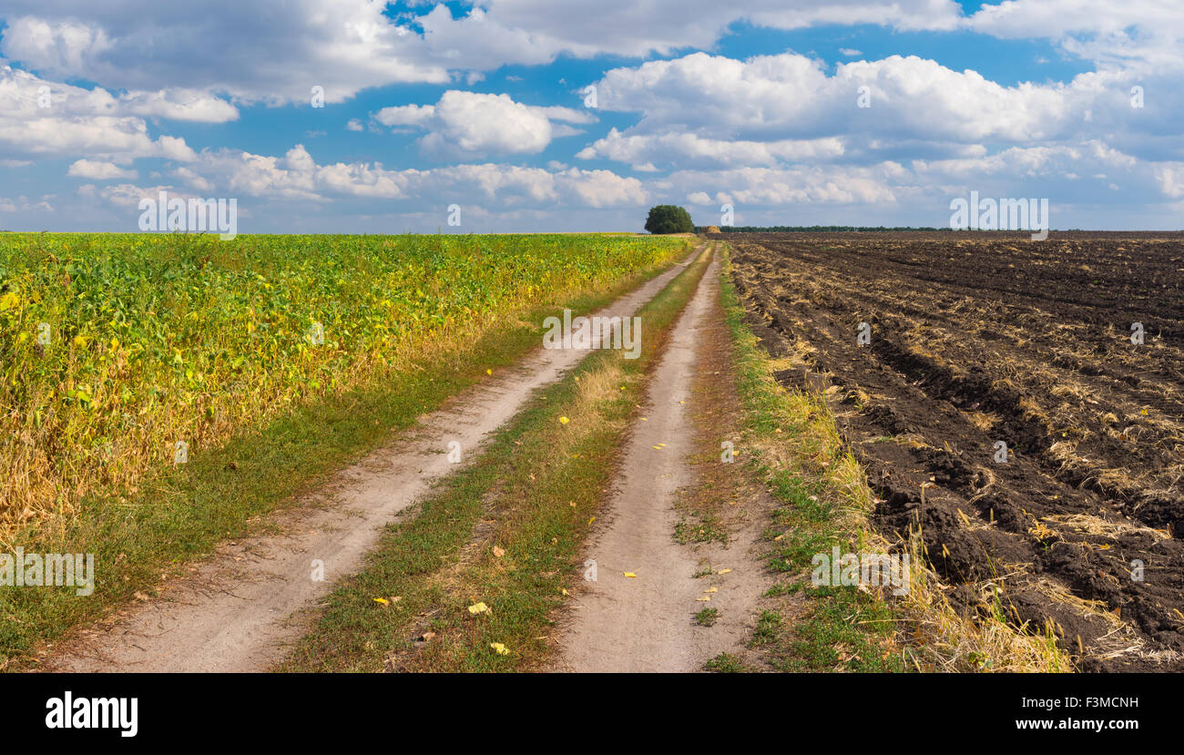 Ukrainian agricultural landscape with dirty road among fields at fall ...