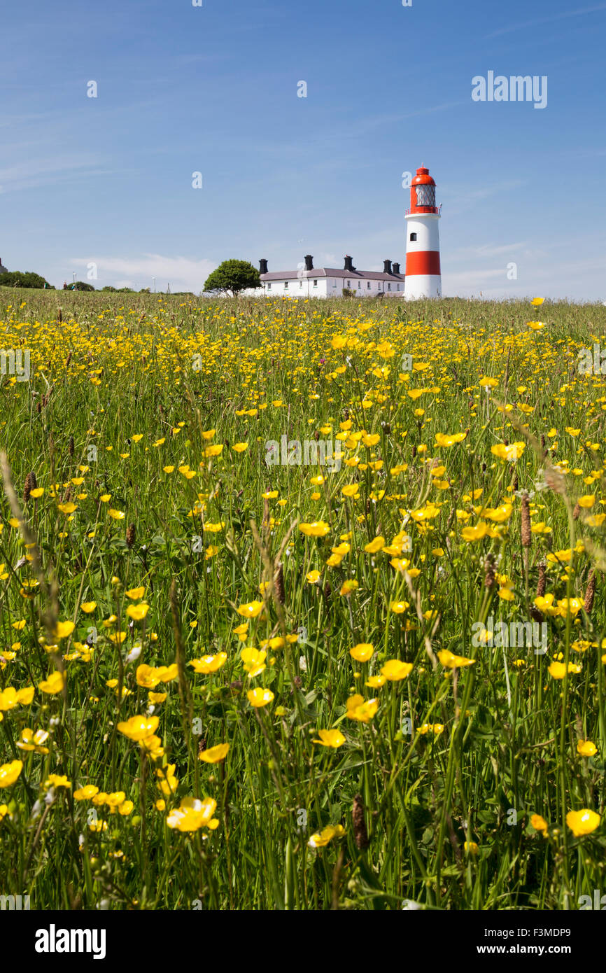 The lighthouse field station hi-res stock photography and images - Alamy