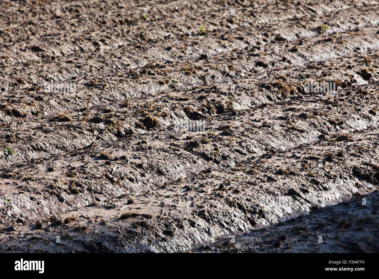 Wet ploughed field hi-res stock photography and images - Alamy
