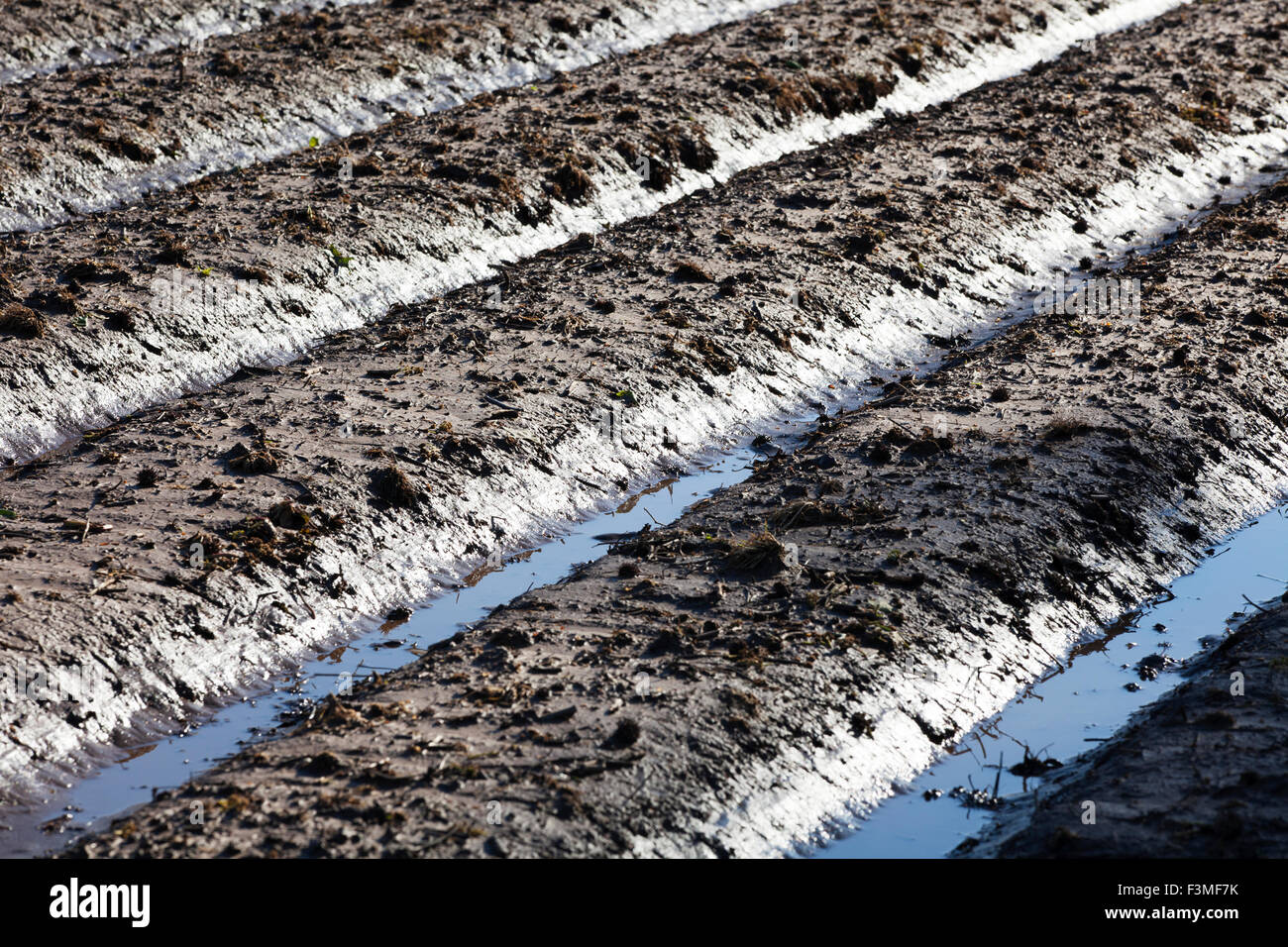 Wet ploughed field hi-res stock photography and images - Alamy