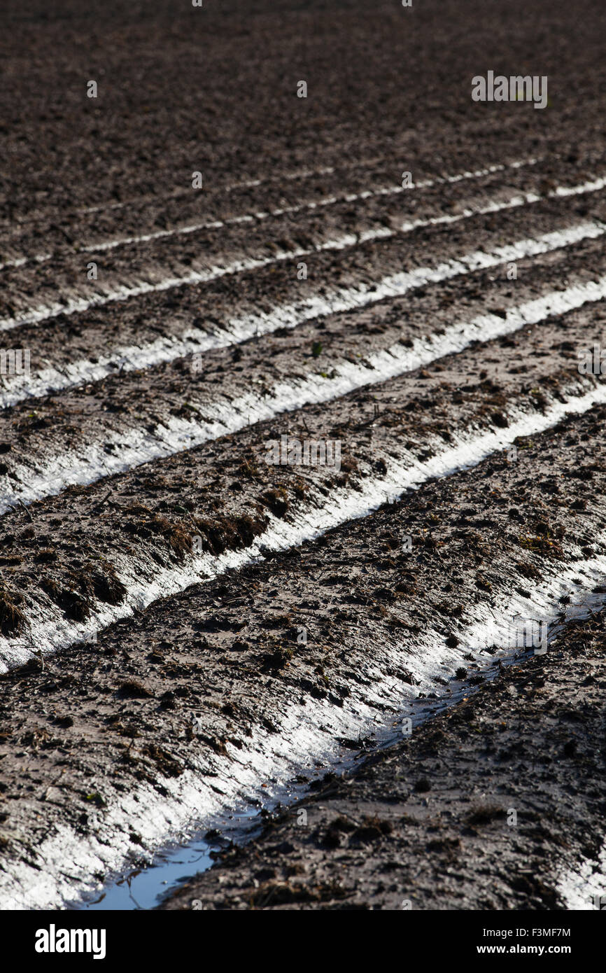 Puddle field hi-res stock photography and images - Alamy