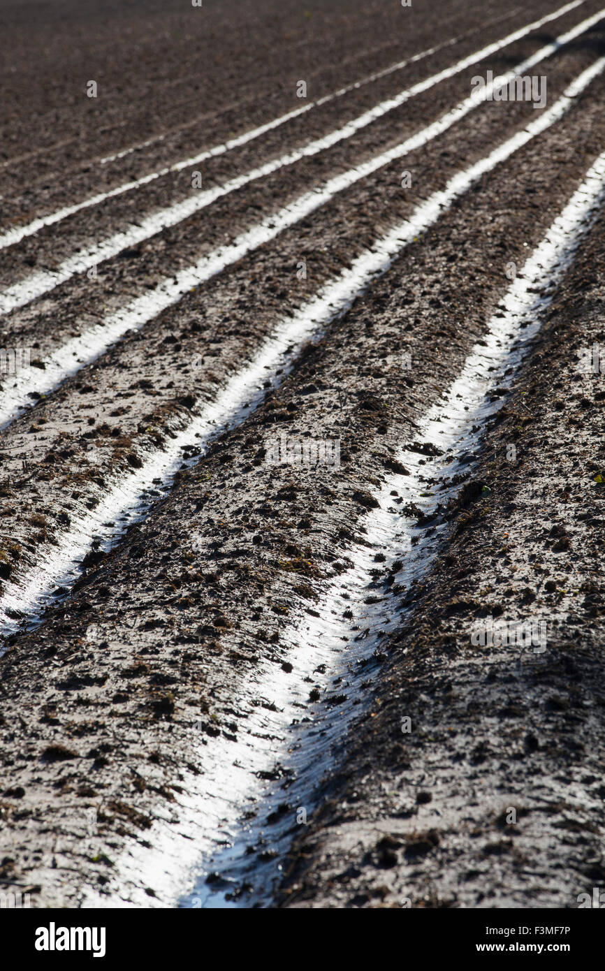 Wet ploughed field hi-res stock photography and images - Alamy