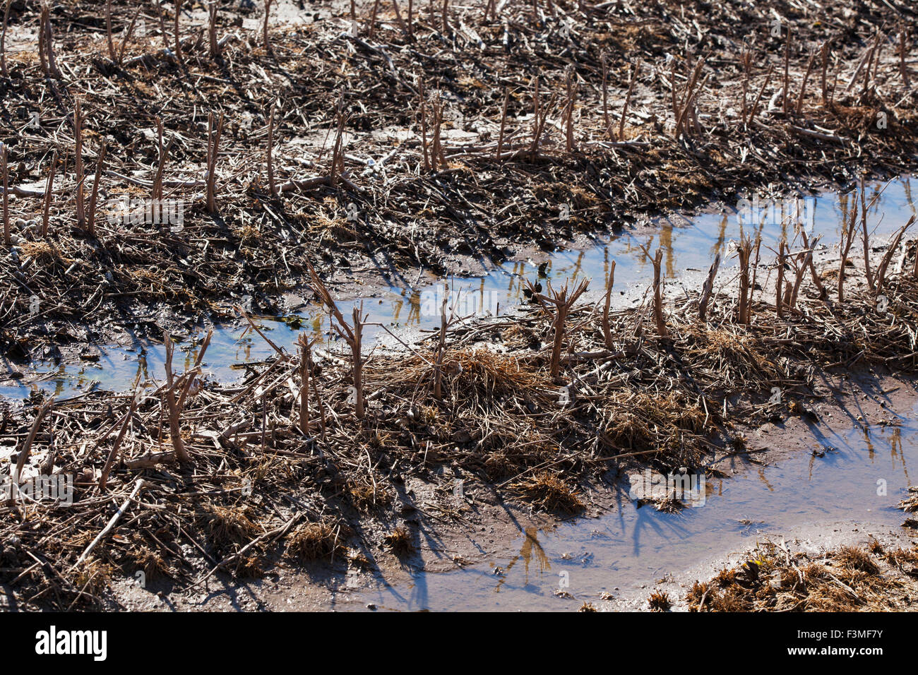 Wet ploughed field hi-res stock photography and images - Alamy