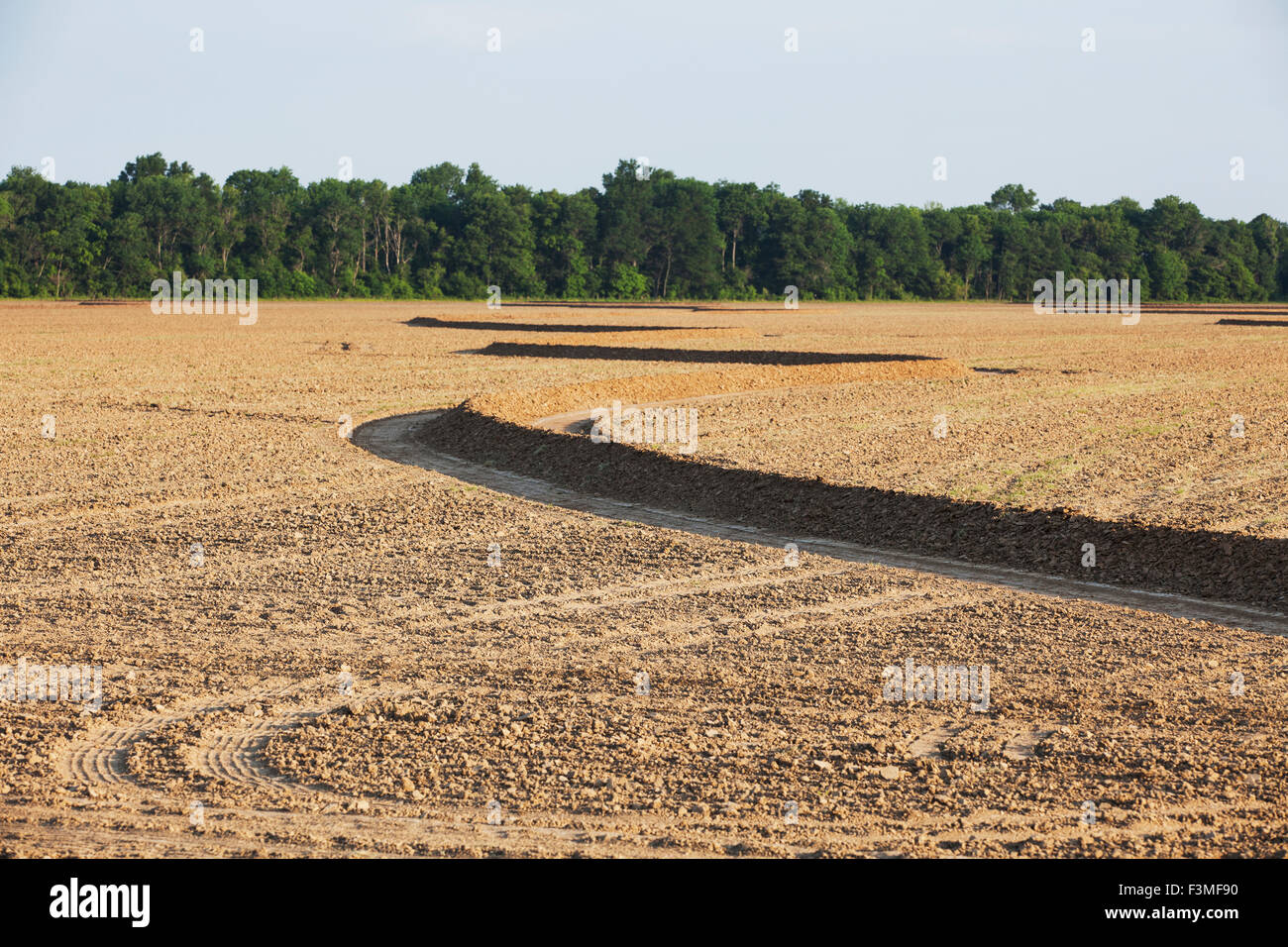 Rice seedling soil hi-res stock photography and images - Alamy