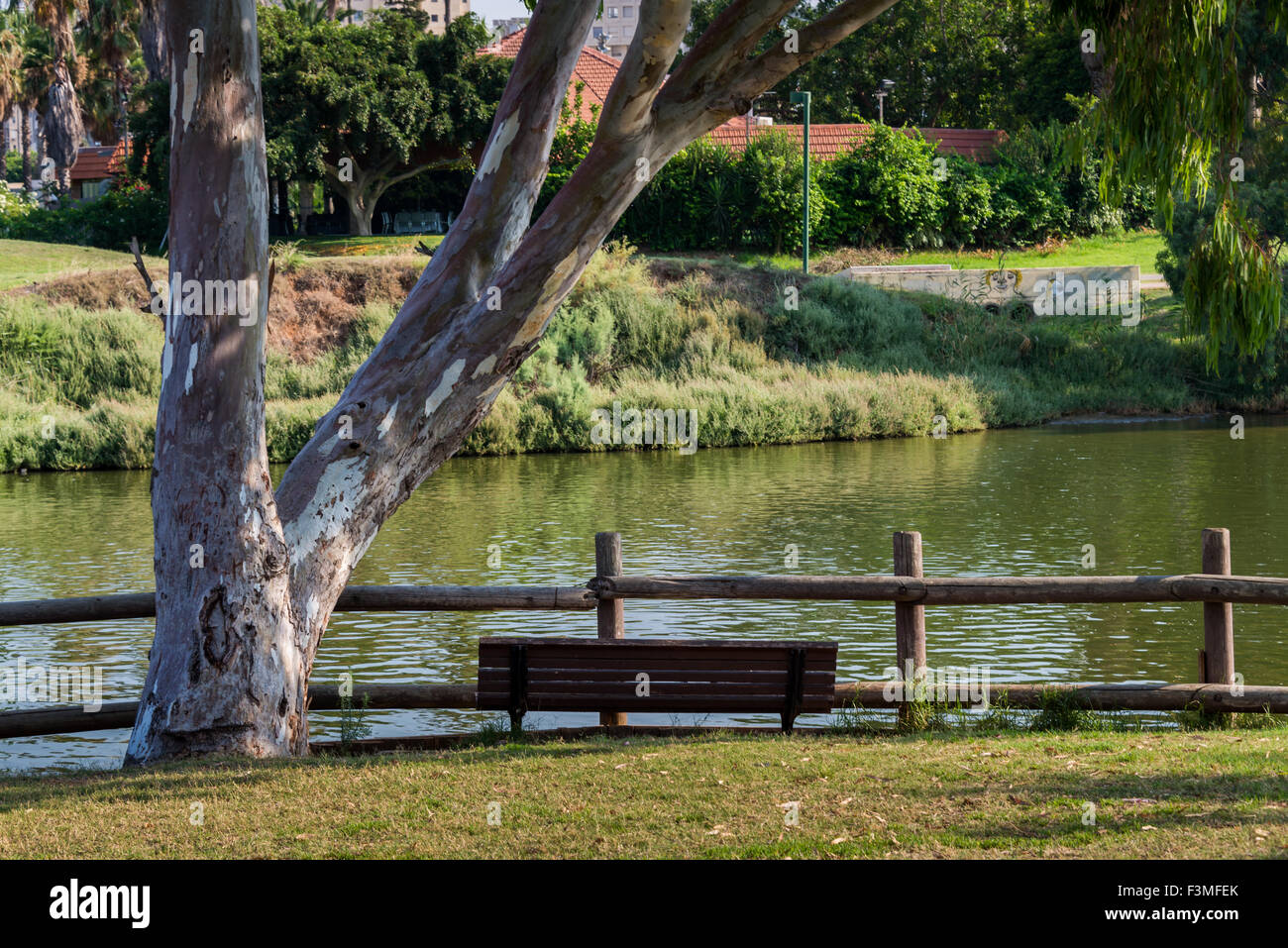 A walk in Tel Aviv, Israel Stock Photo - Alamy