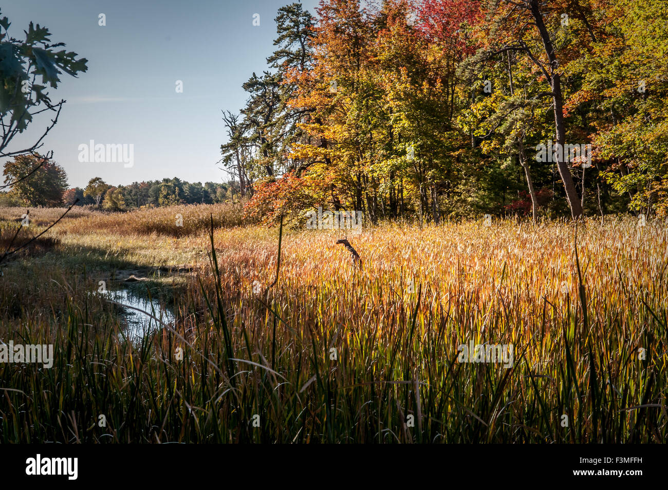 Every season is known for what it represents. But the Fall Season is ...