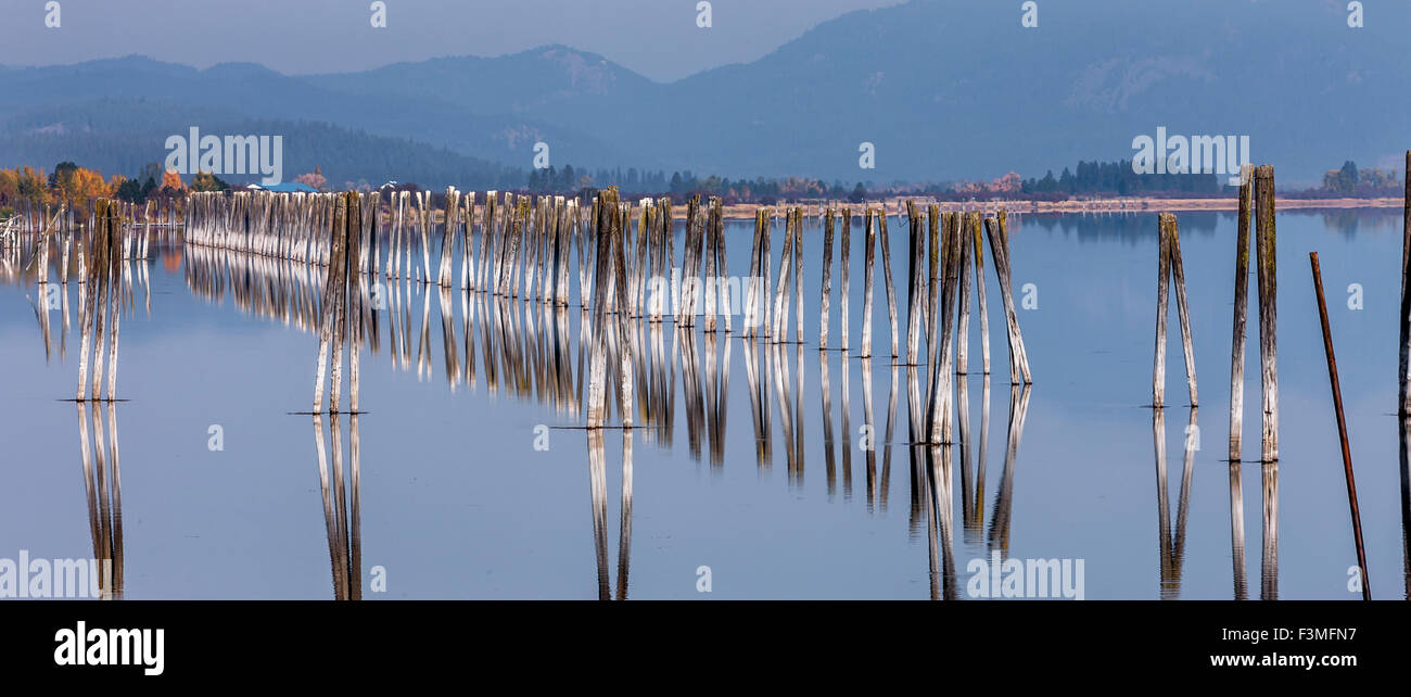 River pole hi-res stock photography and images - Alamy