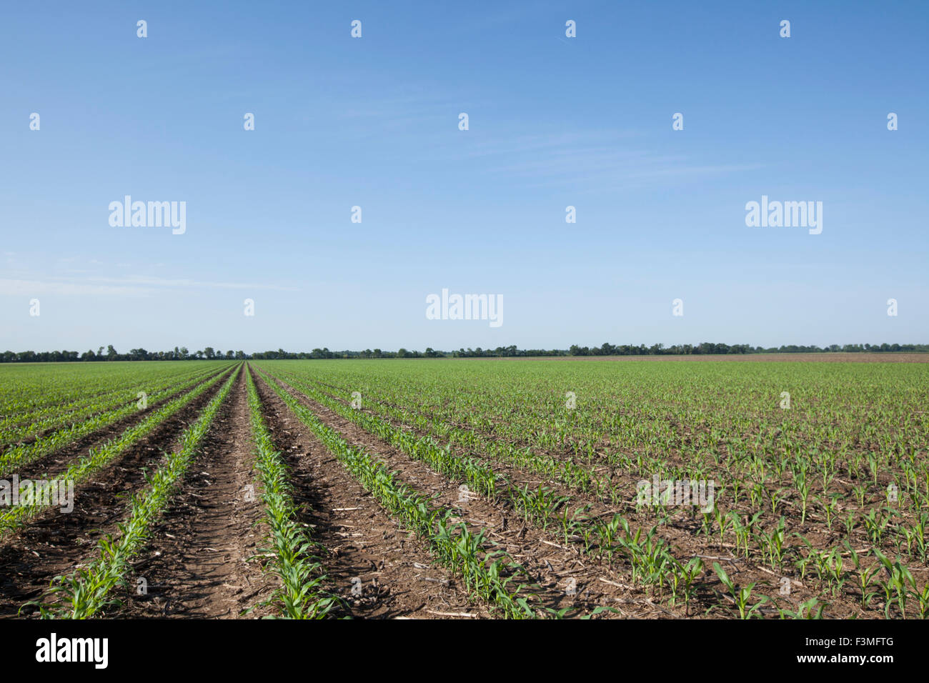 Arkansas scenic hi-res stock photography and images - Alamy