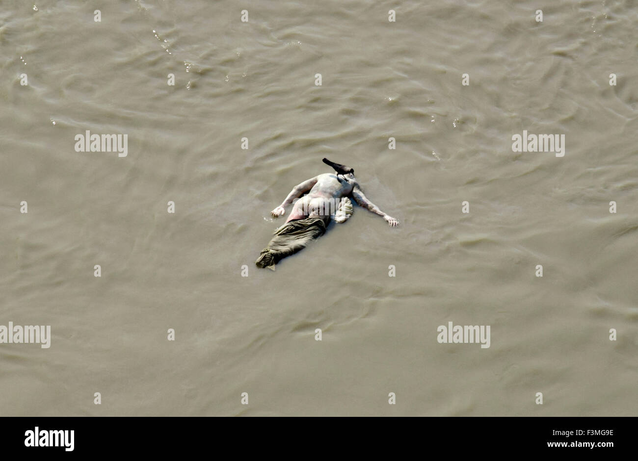 Death flooting in the Ganges river. Varanasi. Horizontal view of an ...