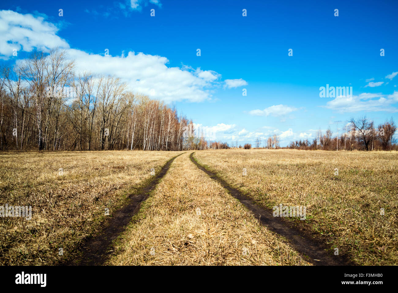 Beautiful rural landscape with perspective road. Toned image Stock ...