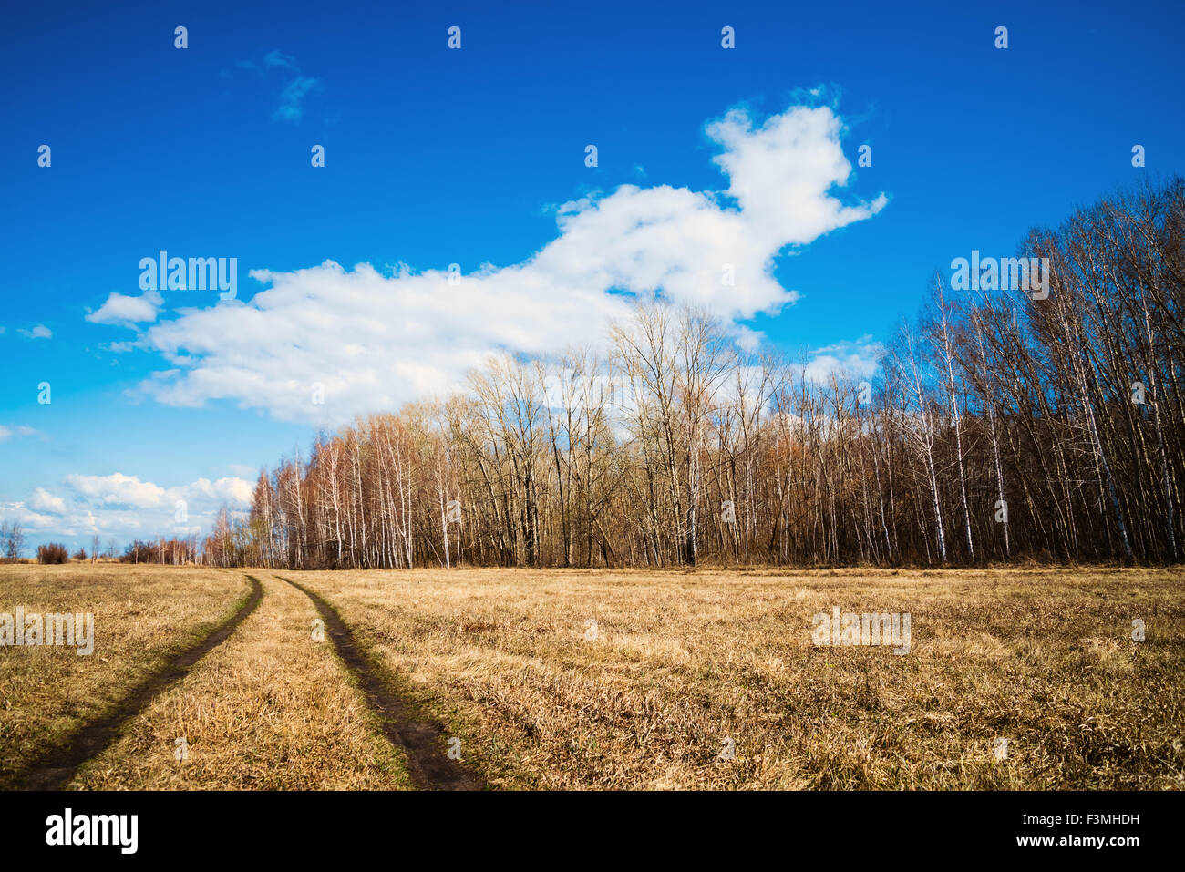 Beautiful rural landscape with perspective road Stock Photo - Alamy