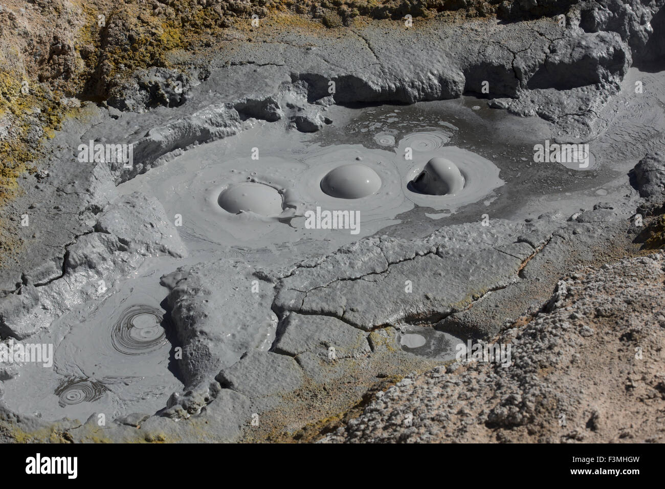 Mud pot bolivia hi-res stock photography and images - Alamy