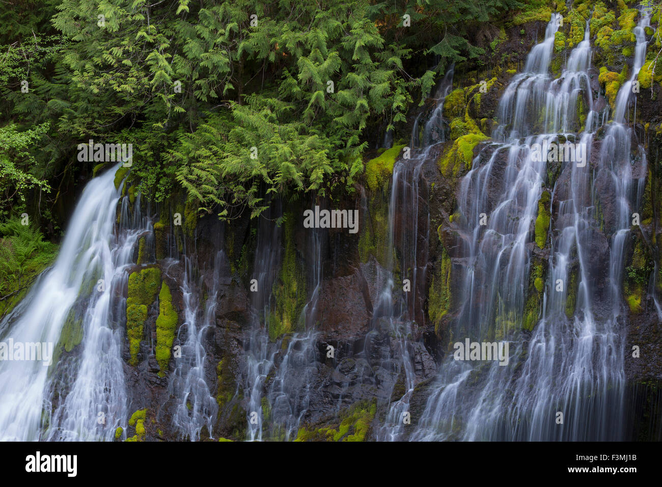 Waterfall,Panther Creek,upper panther falls Stock Photo - Alamy