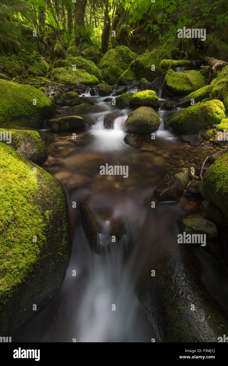 Ruckel hi-res stock photography and images - Alamy