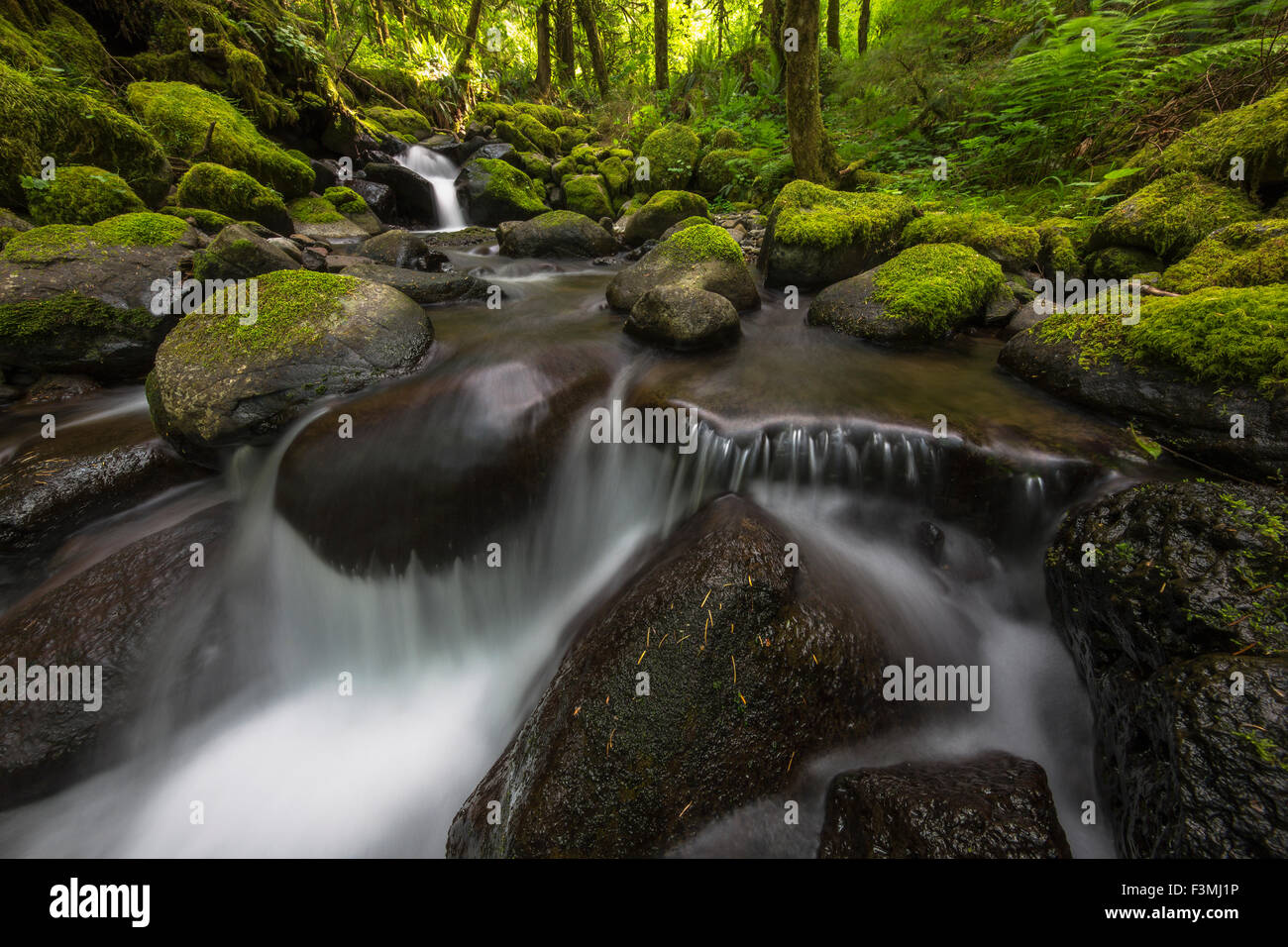 Ruckel hi-res stock photography and images - Alamy