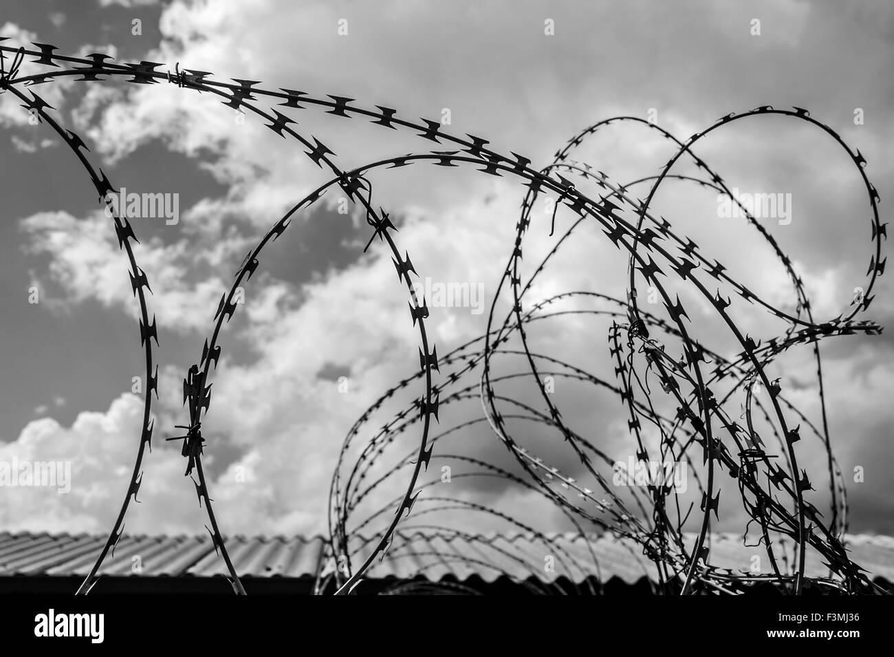 Tangled razor wire hi-res stock photography and images - Alamy