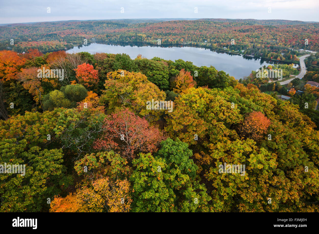 Dorset lookout tower autumn hi-res stock photography and images - Alamy