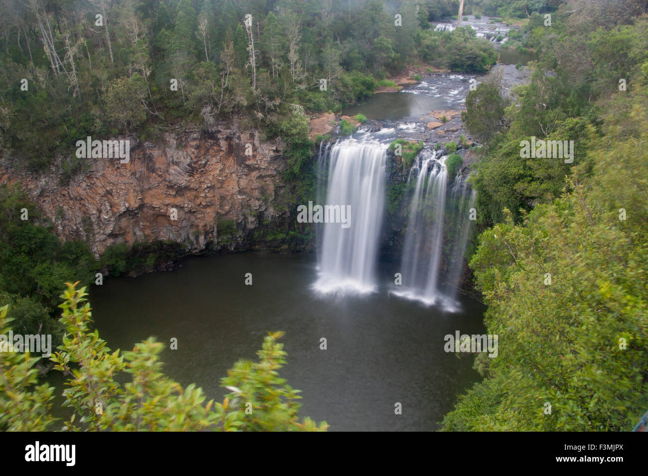 Dorrigo np hi-res stock photography and images - Alamy