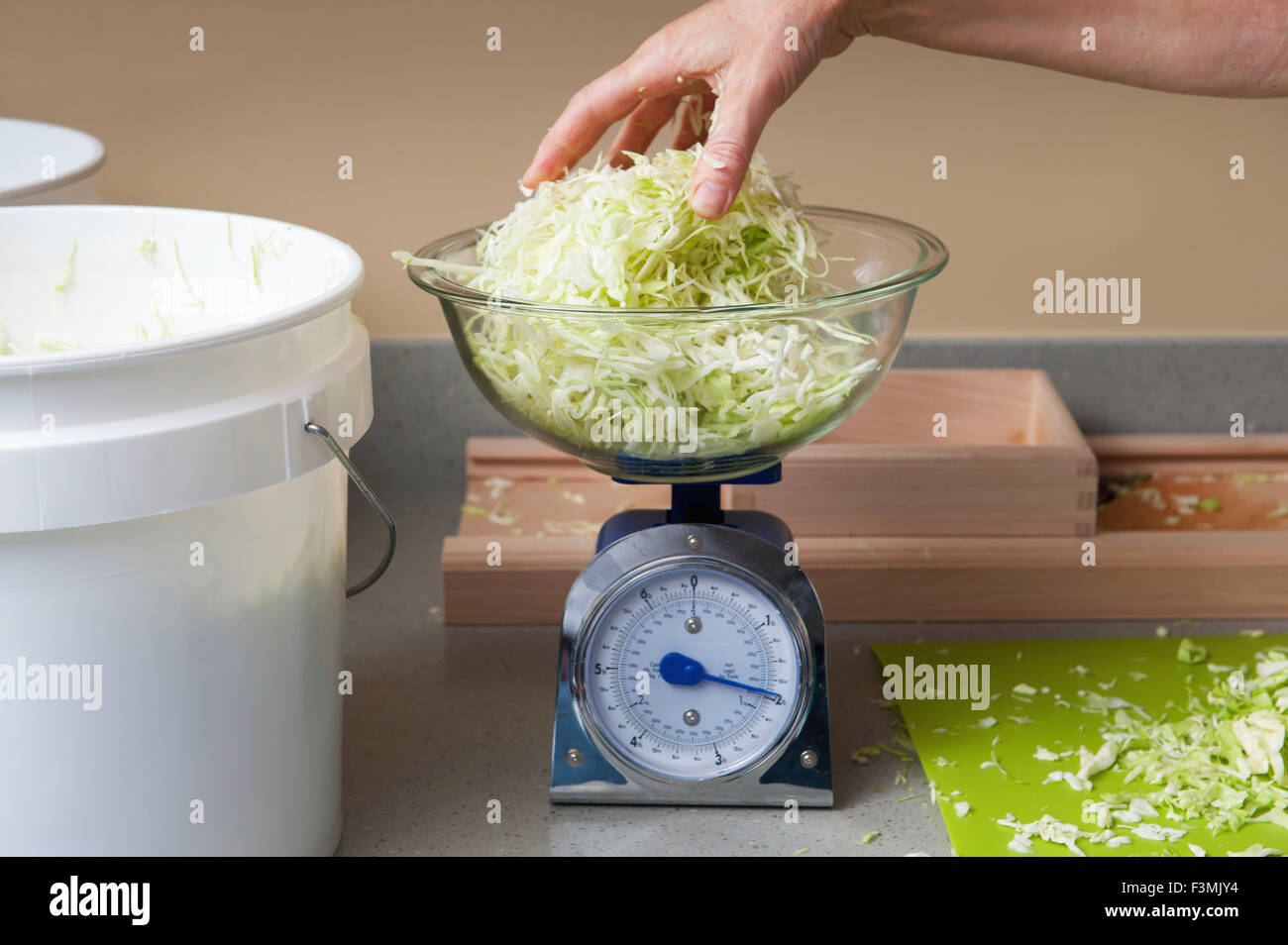 Woman cutting cabbage sauerkraut hi-res stock photography and images ...