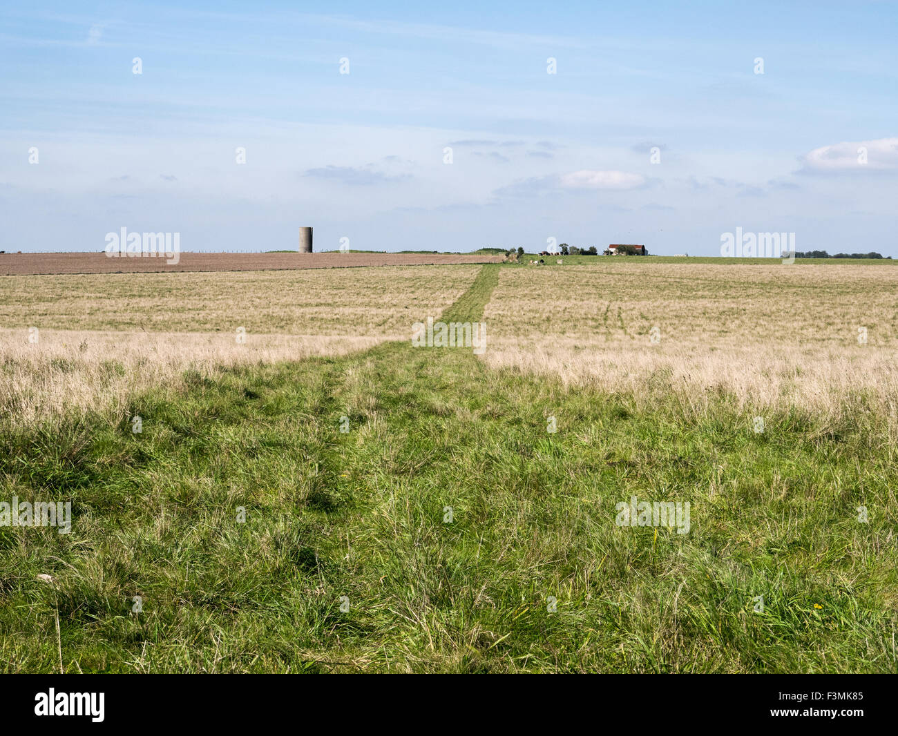 Wiltshire farm at Stonehenge Stock Photo - Alamy