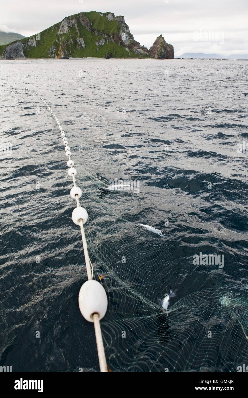Drift gillnet hi-res stock photography and images - Alamy